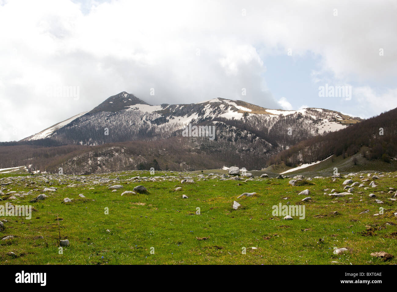 Serra Dolcedorme mount from Piani del Pollino, Pollino National Park ...