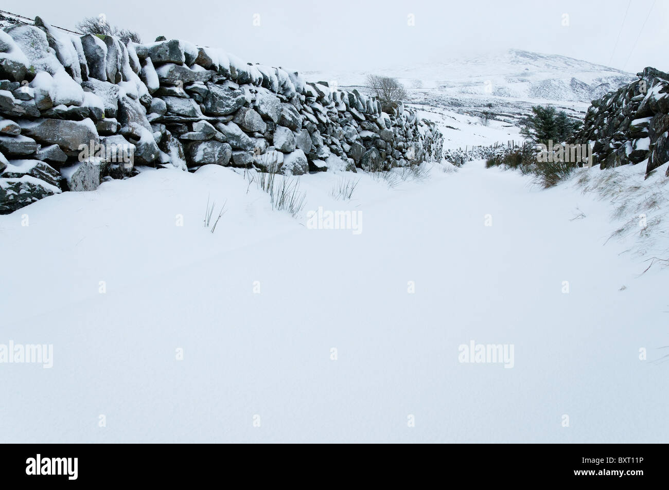 Deep snow on a lane hi-res stock photography and images - Alamy
