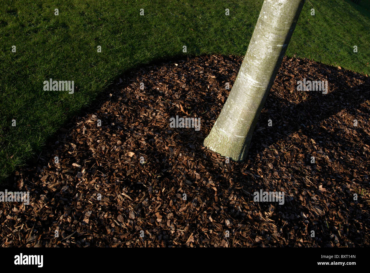 Grass planting hi-res stock photography and images - Alamy