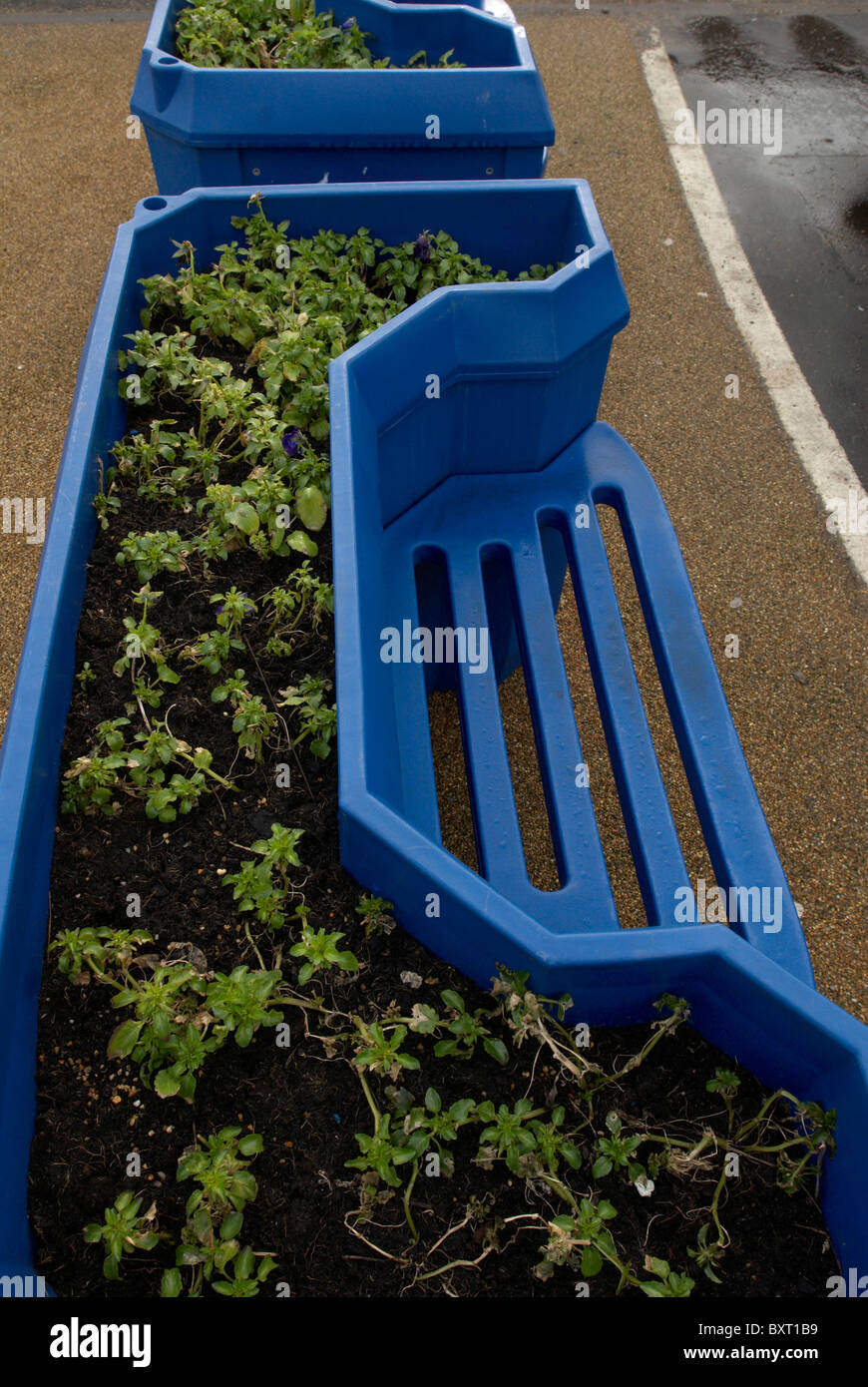 Recycled plastic bench and planter Stock Photo - Alamy