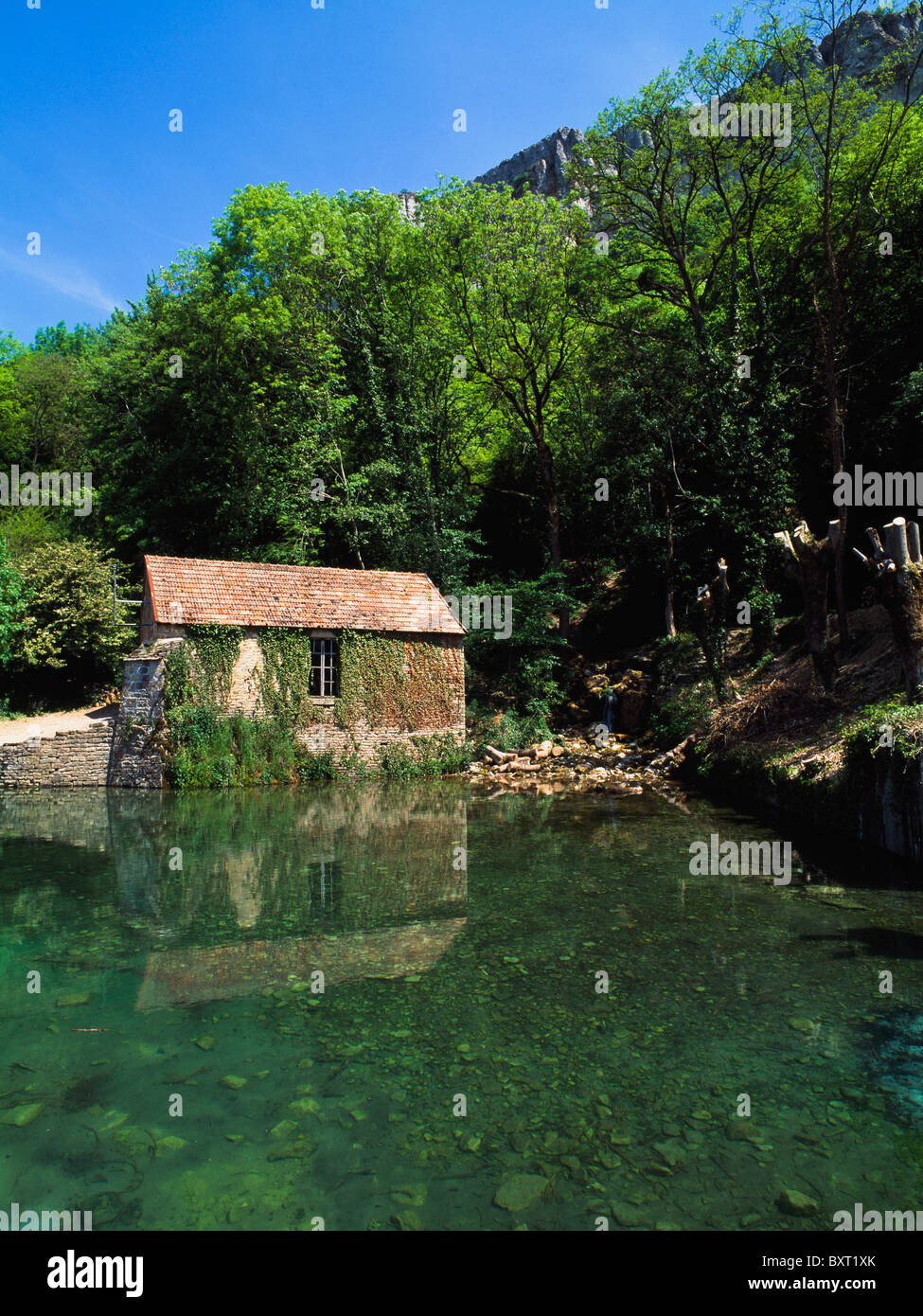 Overgrown Cottage By The Lakeside Stock Photo - Alamy