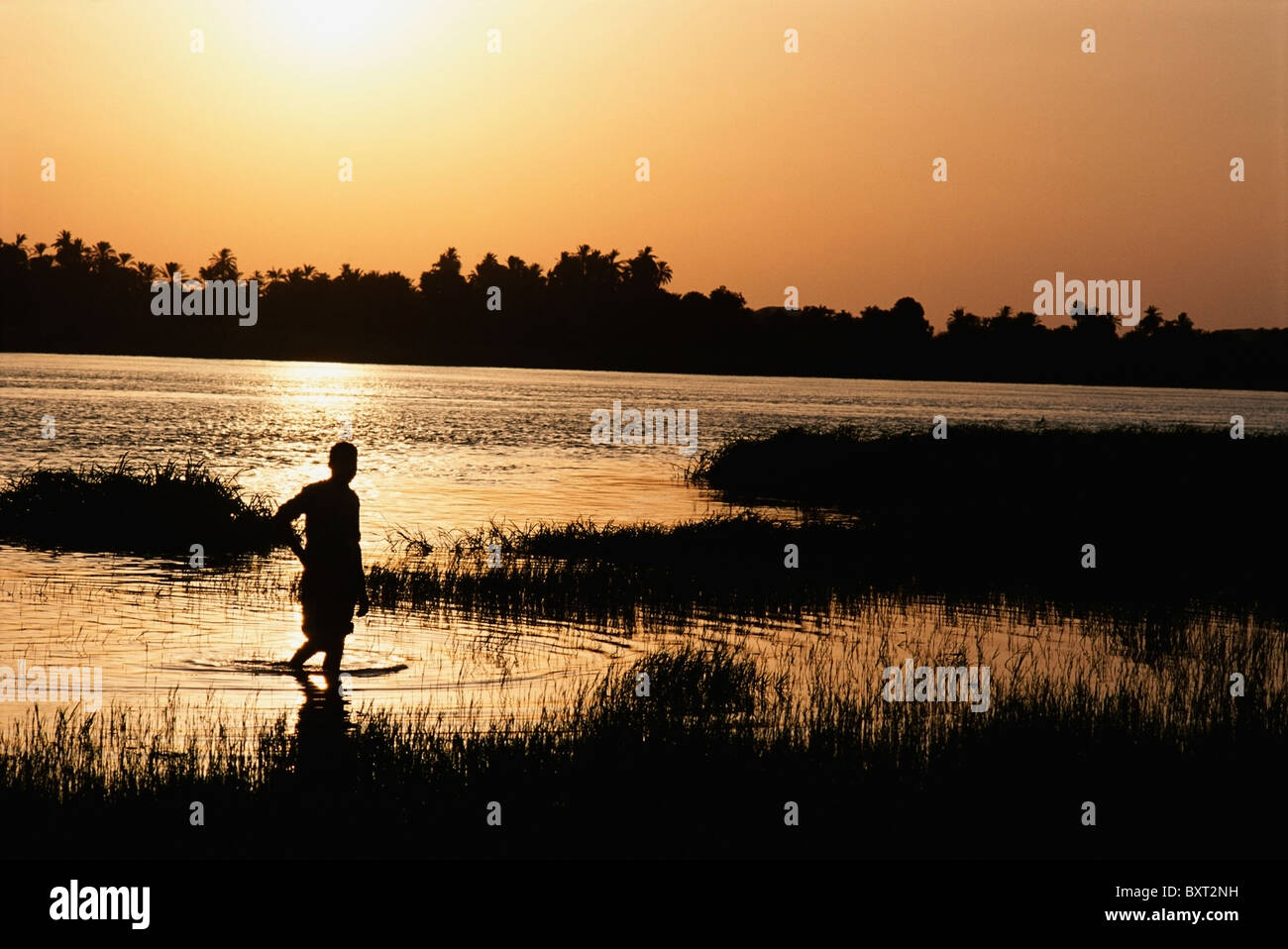 Man Wading Through The Nile At Sunset Stock Photo - Alamy