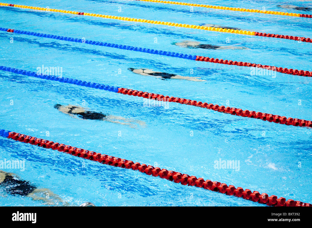 swimmers swimming in a pool Stock Photo - Alamy