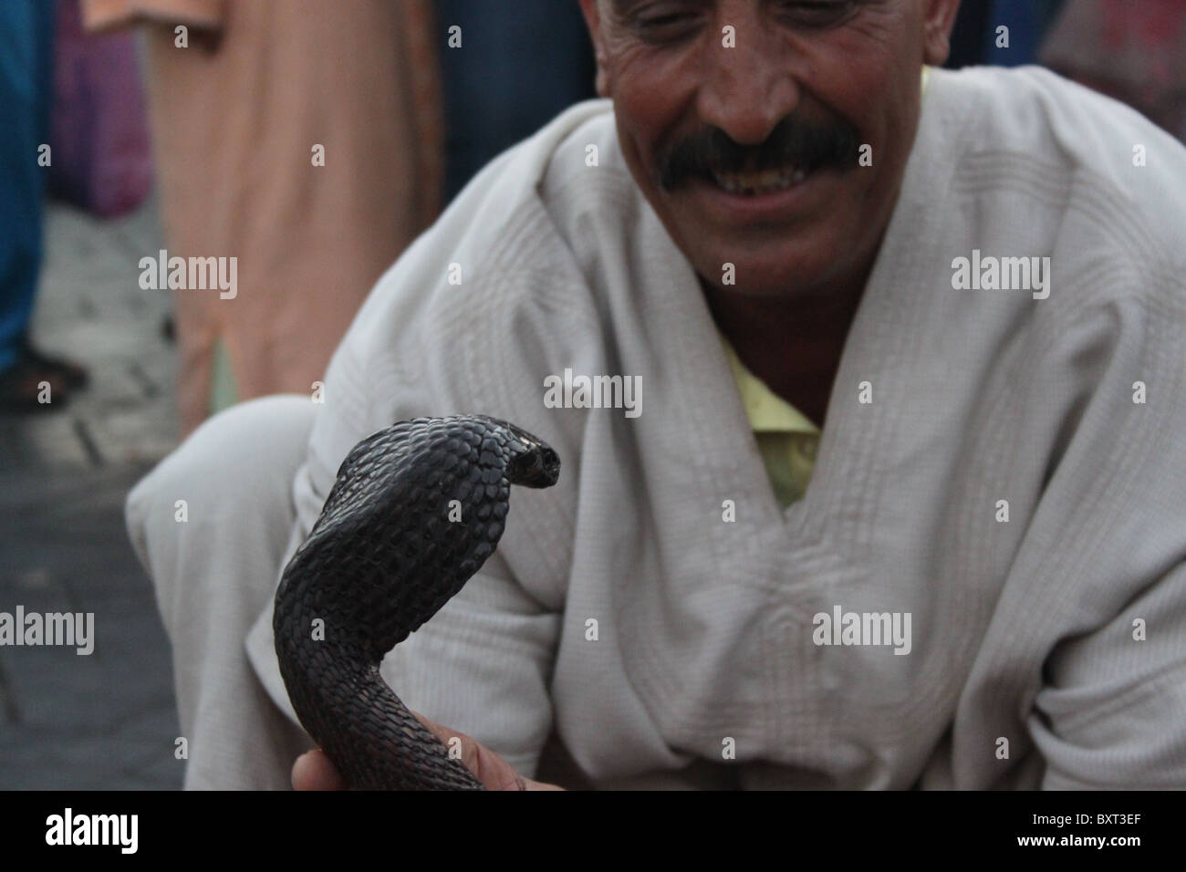 A snake charmer in the Night Market in Marrakesh Stock Photo - Alamy