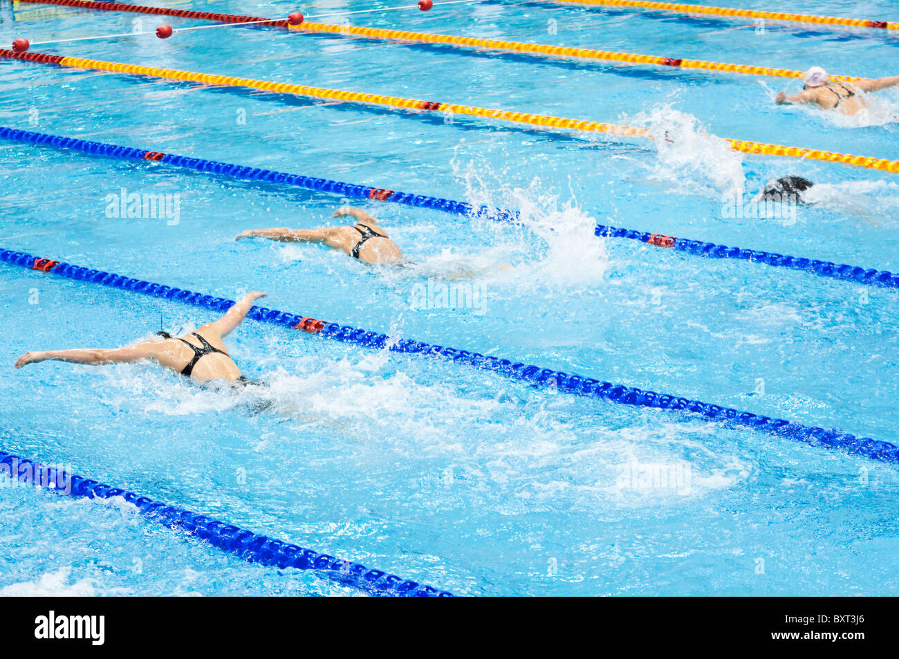 swimmers swimming in a pool Stock Photo - Alamy