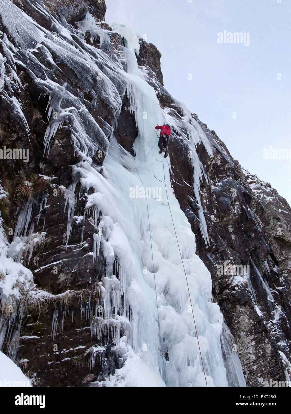 The devils appendix hi-res stock photography and images - Alamy