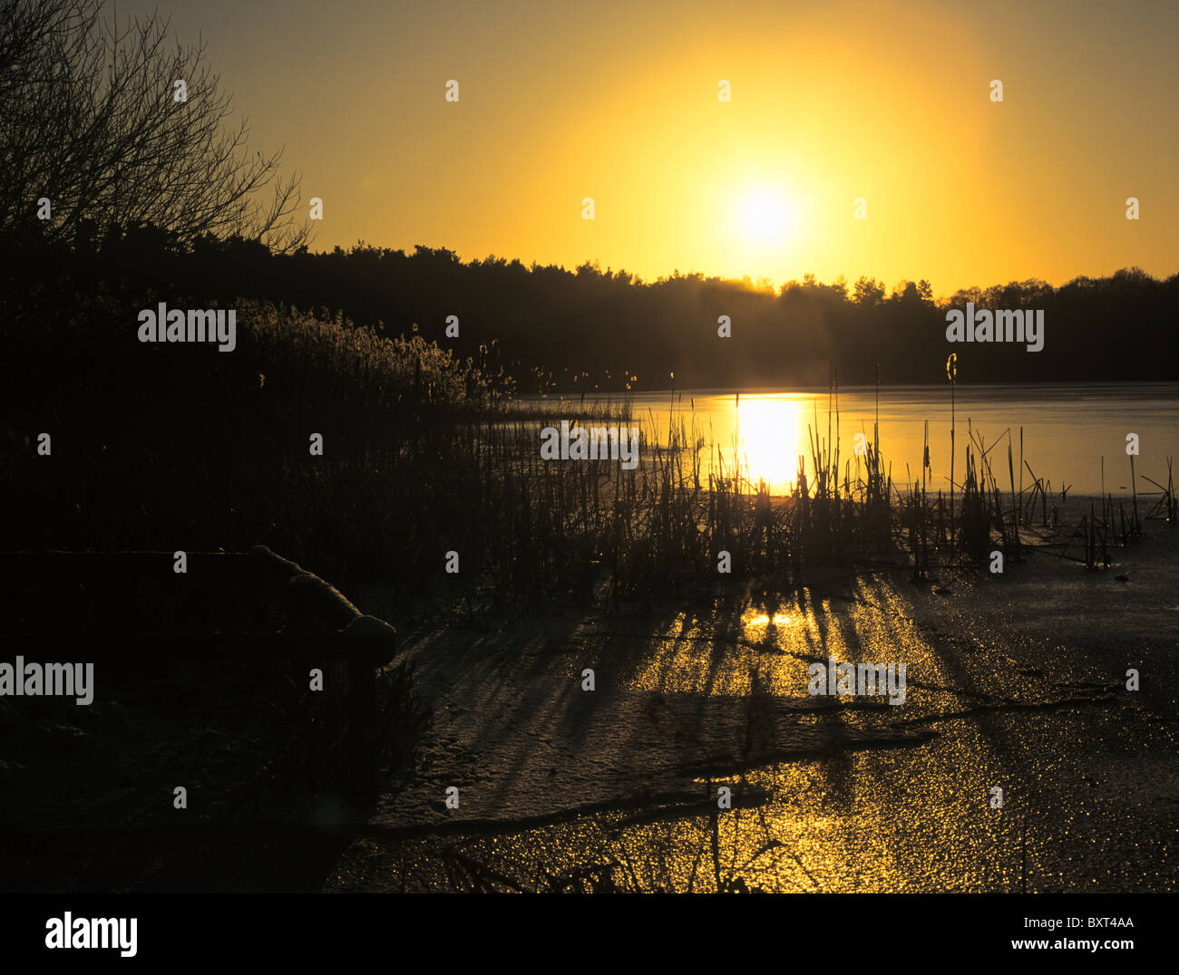 Frensham surrey hi-res stock photography and images - Alamy