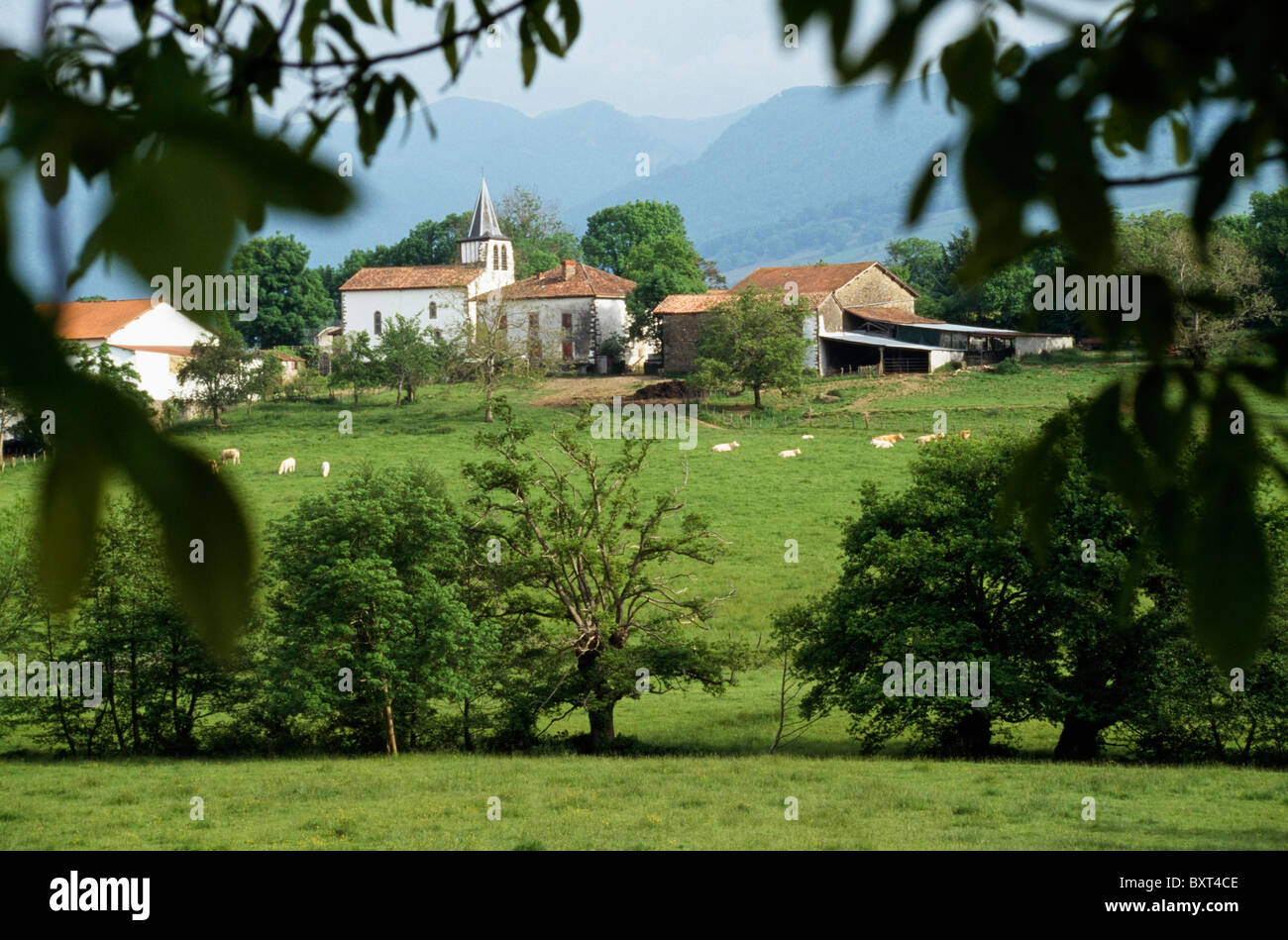 Farmhouse exterior sheep hi-res stock photography and images - Alamy
