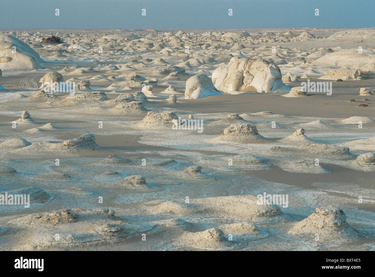 Farafra Oasis In White Desert Stock Photo - Alamy