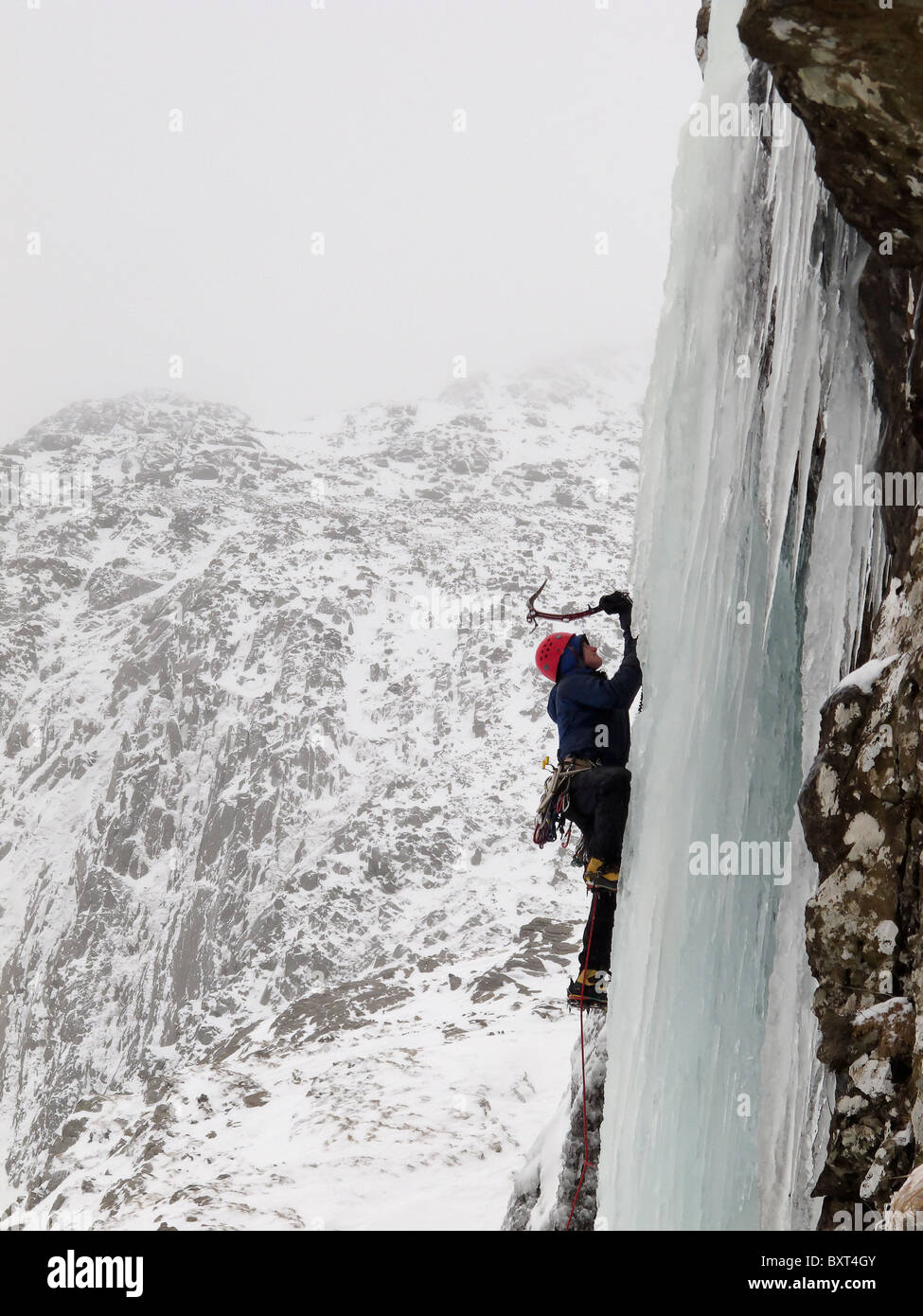 Devils appendix hi-res stock photography and images - Alamy