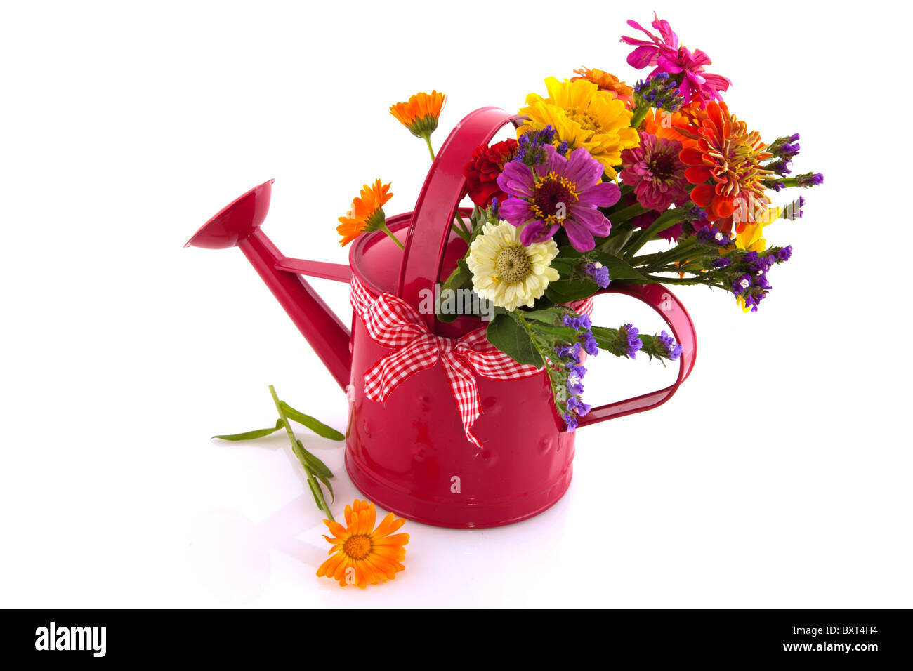 colorful flower bouquet in pink watering can Stock Photo - Alamy