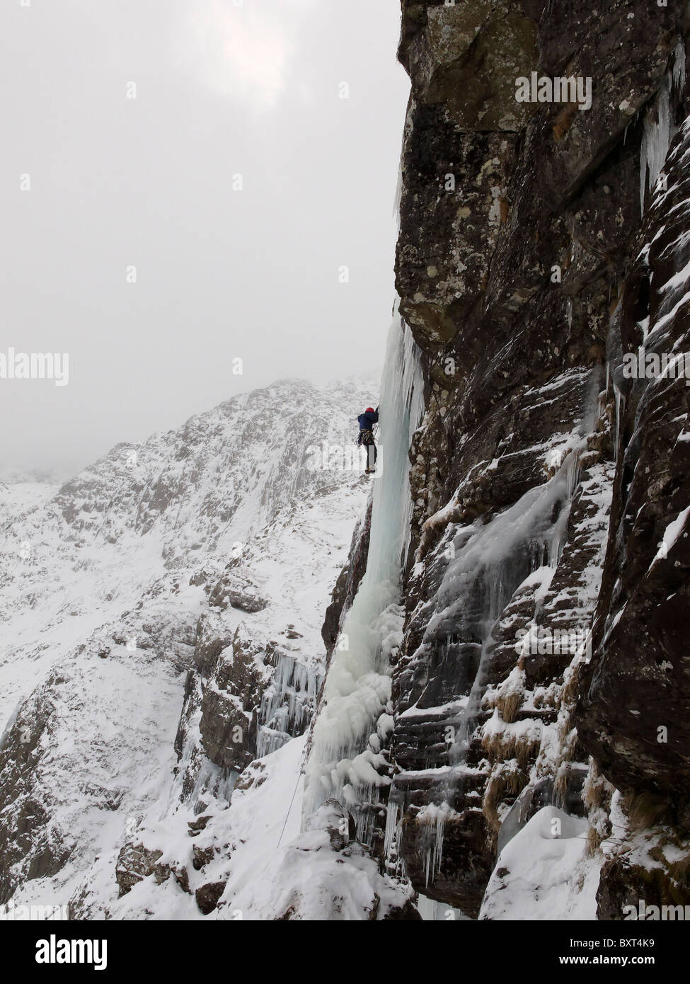 Devils appendix hi-res stock photography and images - Alamy