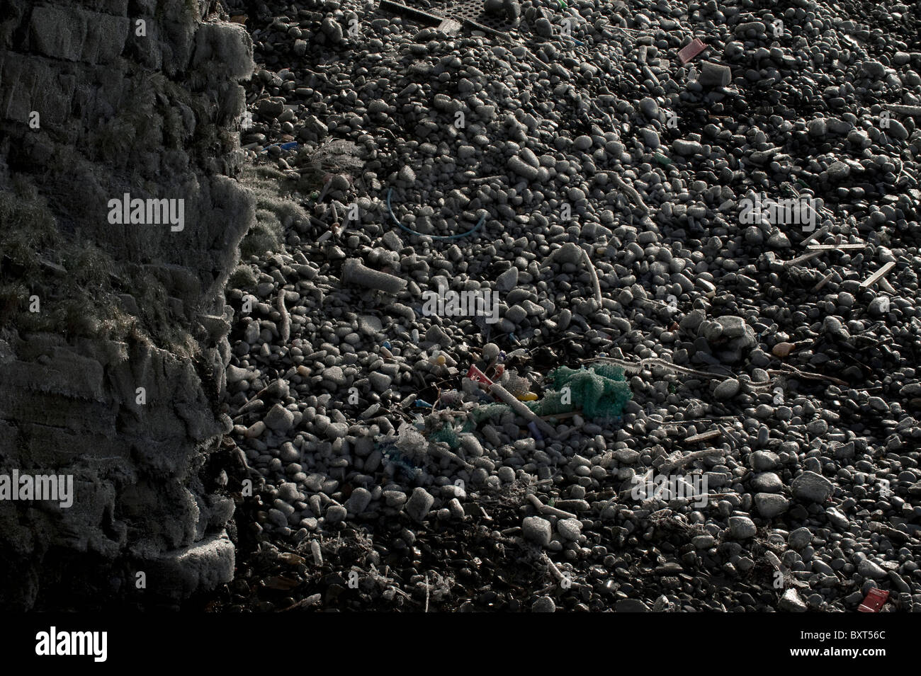 Frozen pebbles on the beach at St Catherine's Tor near Hartland Quay ...