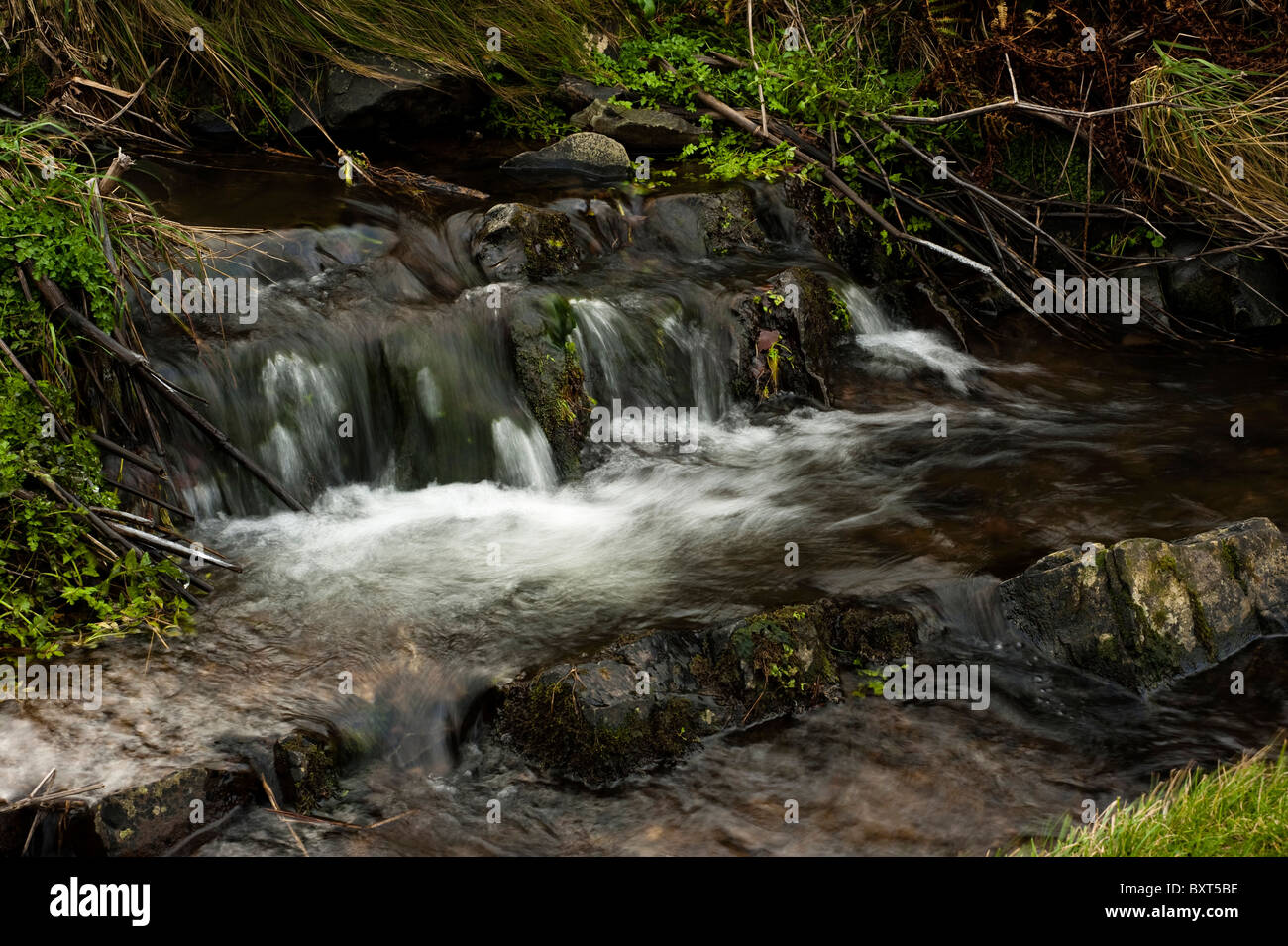 Stream leading to the waterfall at St Catherine's Tor near Hartland ...