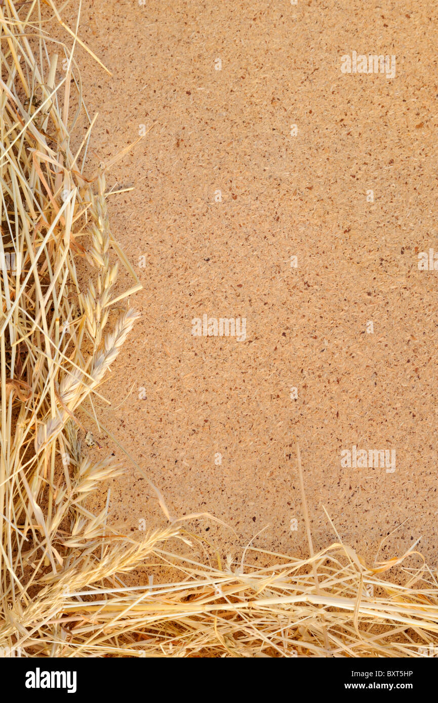 Osb mdf hi-res stock photography and images - Alamy