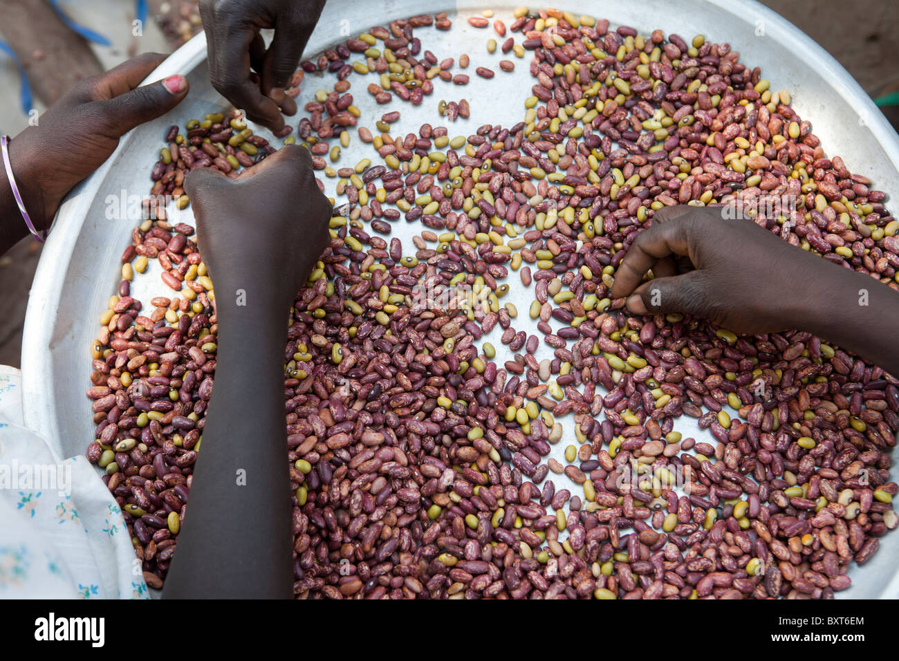 Women sorting beans in Jambo IDP camp, Southern Sudan. Many of the ...