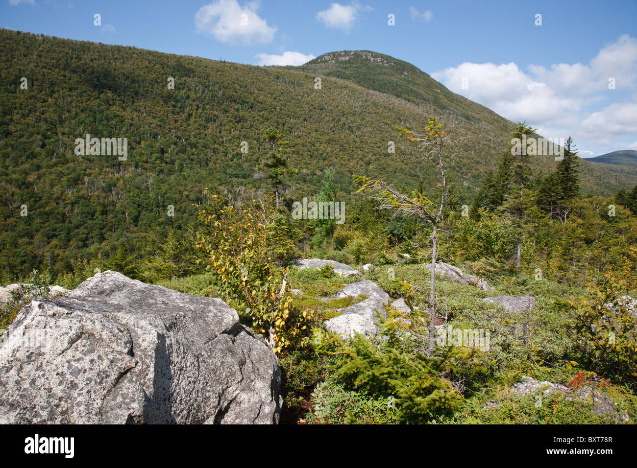 Zealand notch hi-res stock photography and images - Alamy