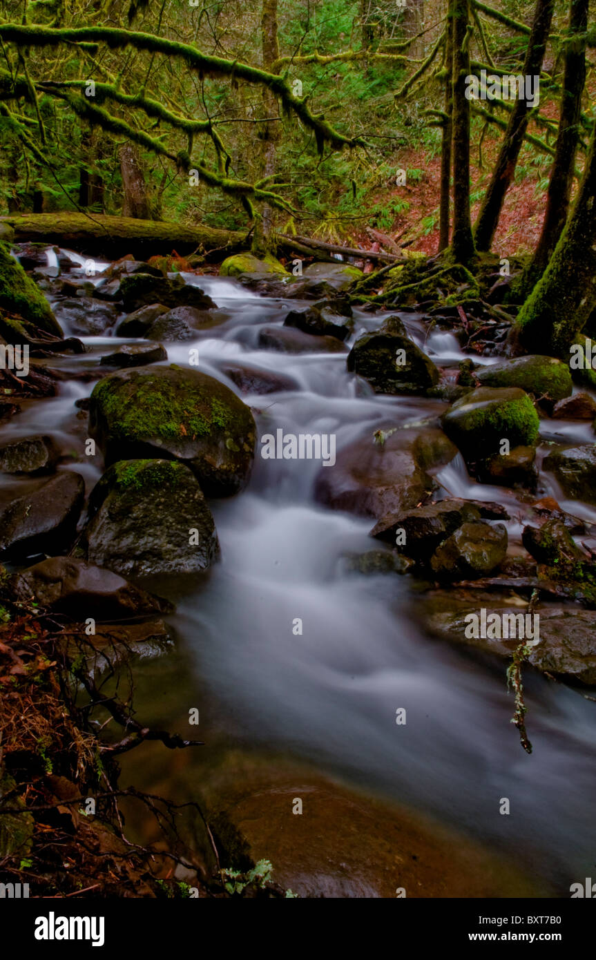 Multnomah falls frozen hi-res stock photography and images - Alamy