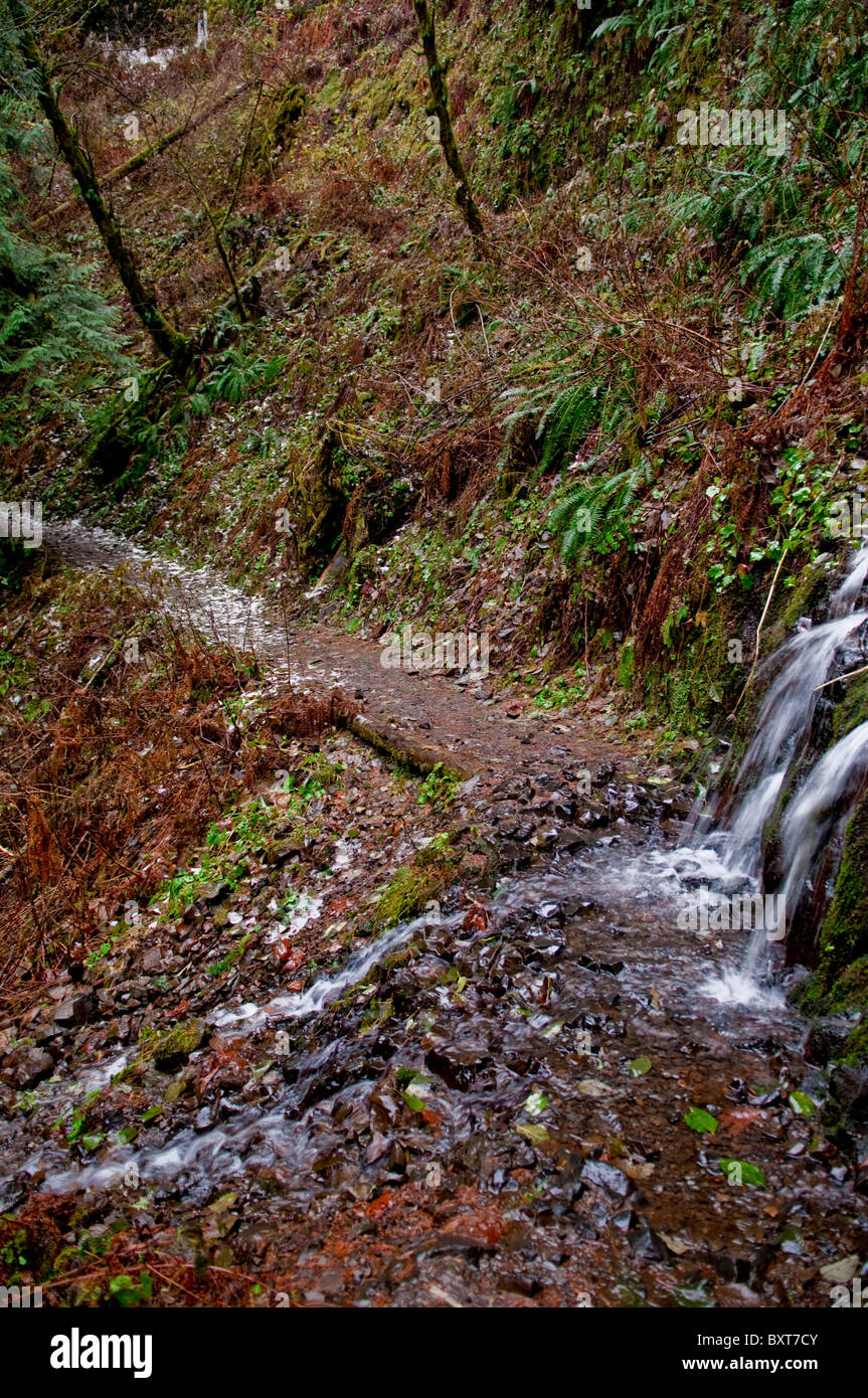 Multnomah Falls State Park Stock Photo - Alamy