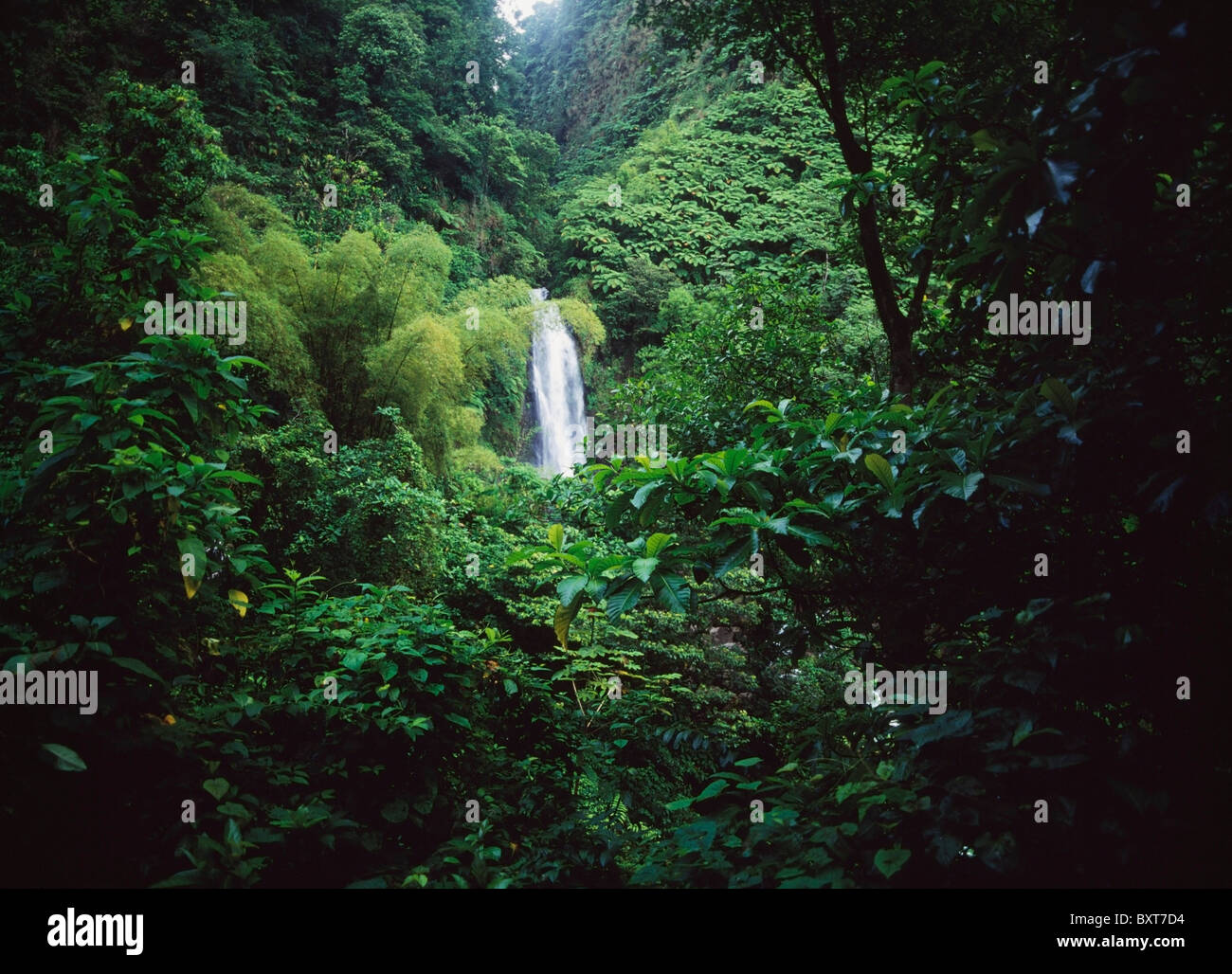 Trafalgar falls hi-res stock photography and images - Alamy