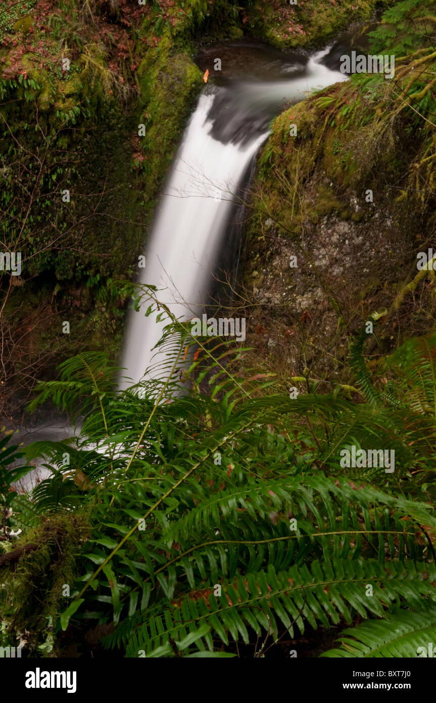 Multnomah Falls State Park Stock Photo - Alamy