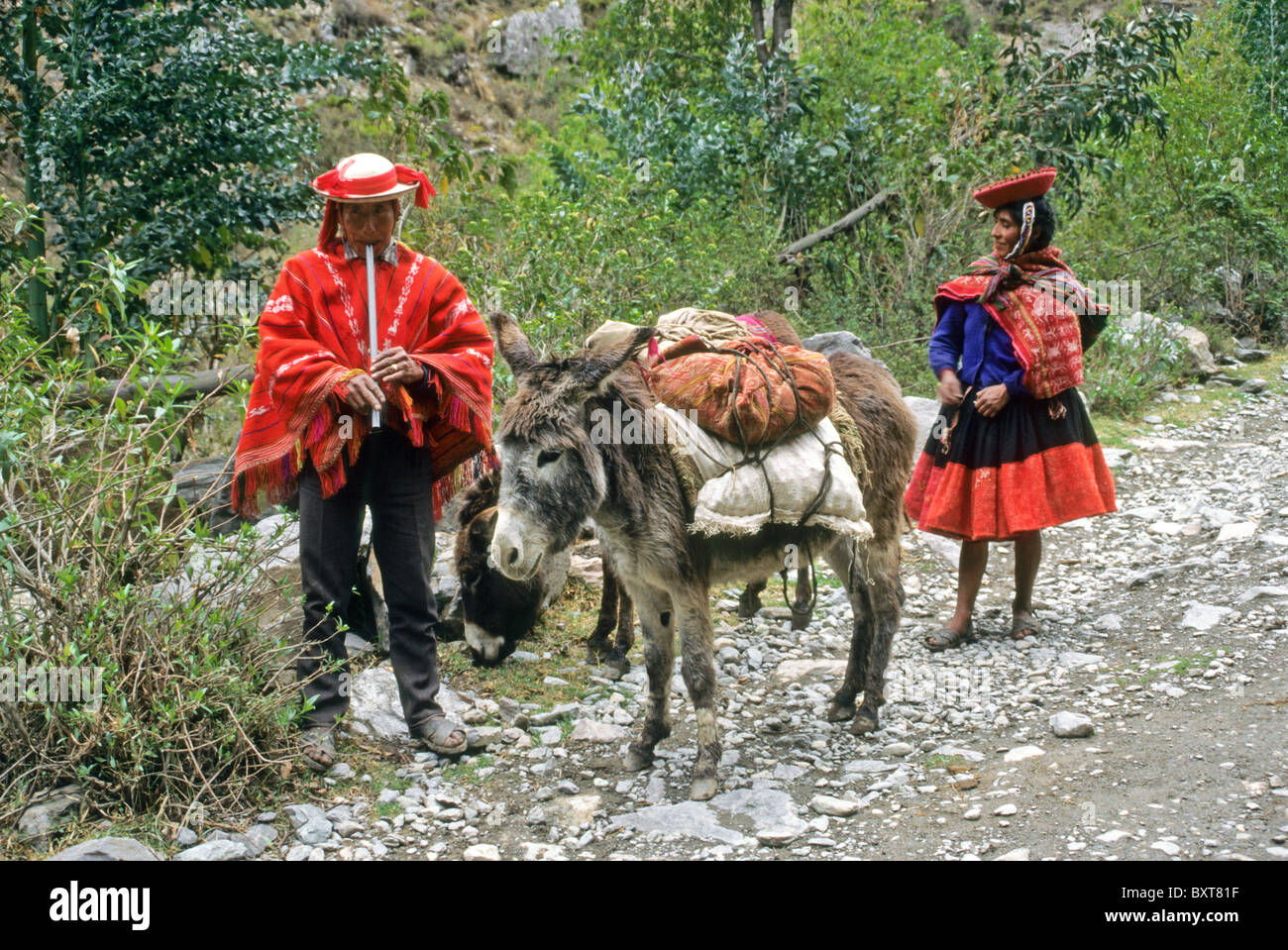 South american peruvian indian man hi-res stock photography and images ...