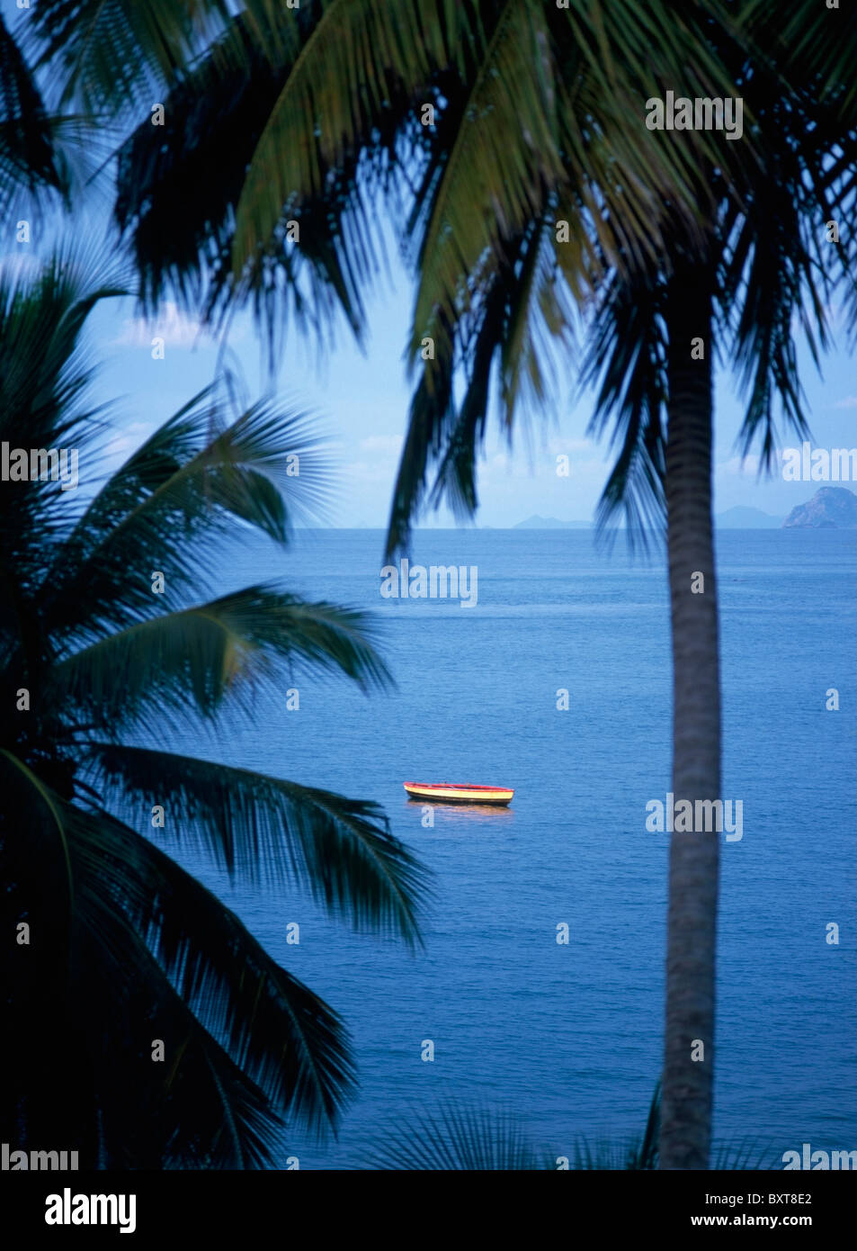 Fishing Boat In Sea As Seen Through Palm Trees Stock Photo - Alamy