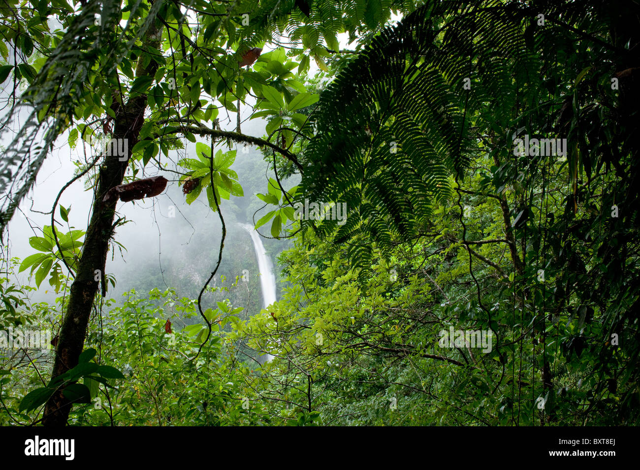 Costa Rica, La Fortuna, Waterfall in rainforest along Fortuna River ...