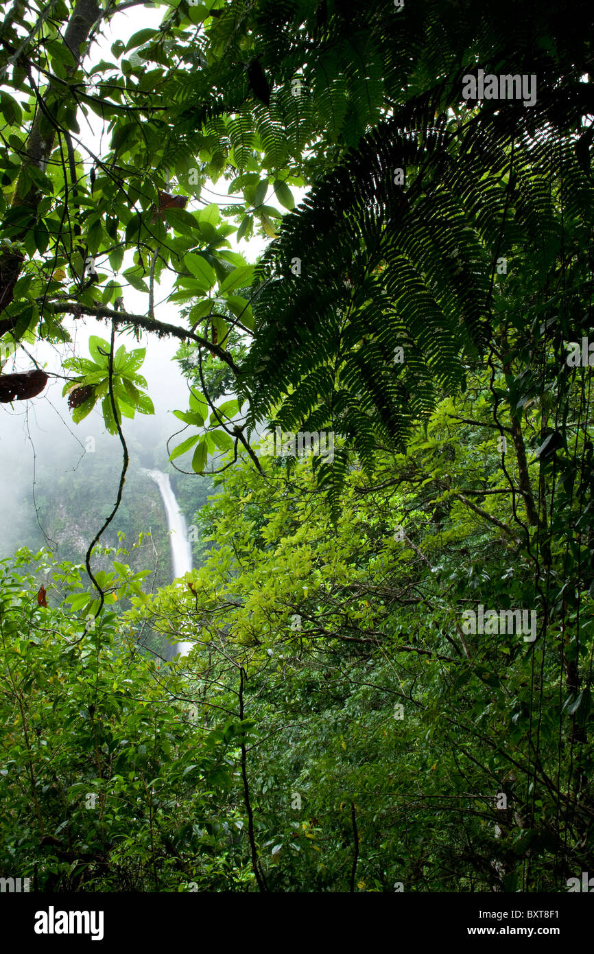 Costa Rica, La Fortuna, Waterfall in rainforest along Fortuna River ...