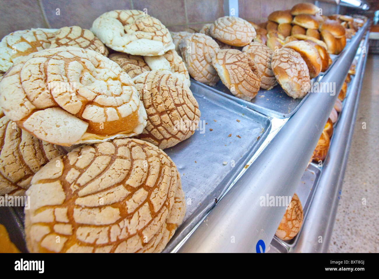 Conchas or Mexican sweet bread in a bakery in Coyoacan, Mexico City ...
