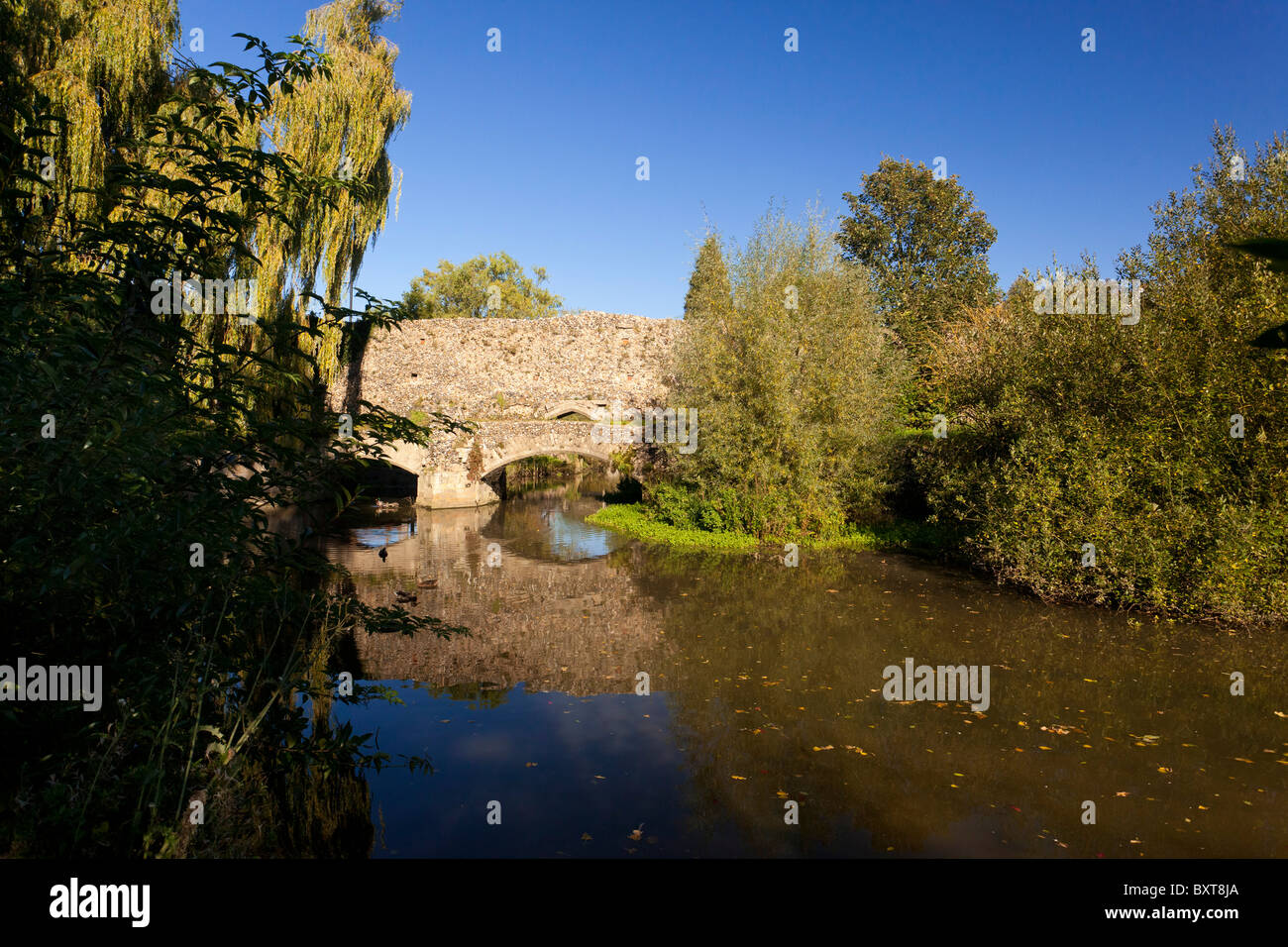 Abbot`s Bridge across the River Lark in Bury St Edmunds, Suffolk, UK ...