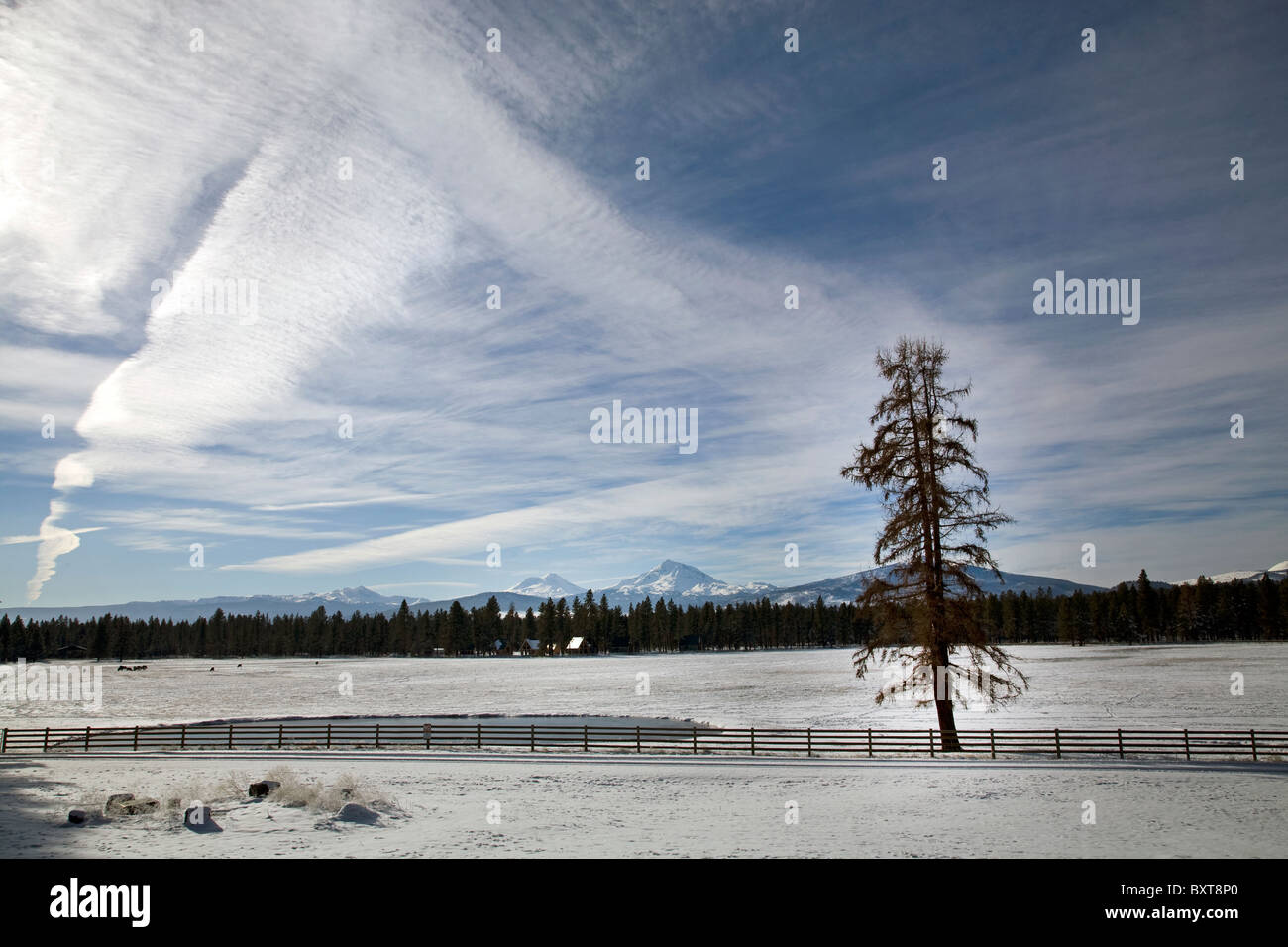 Cabins under a winter sky in the Oregon Cascade Mountains Stock Photo ...
