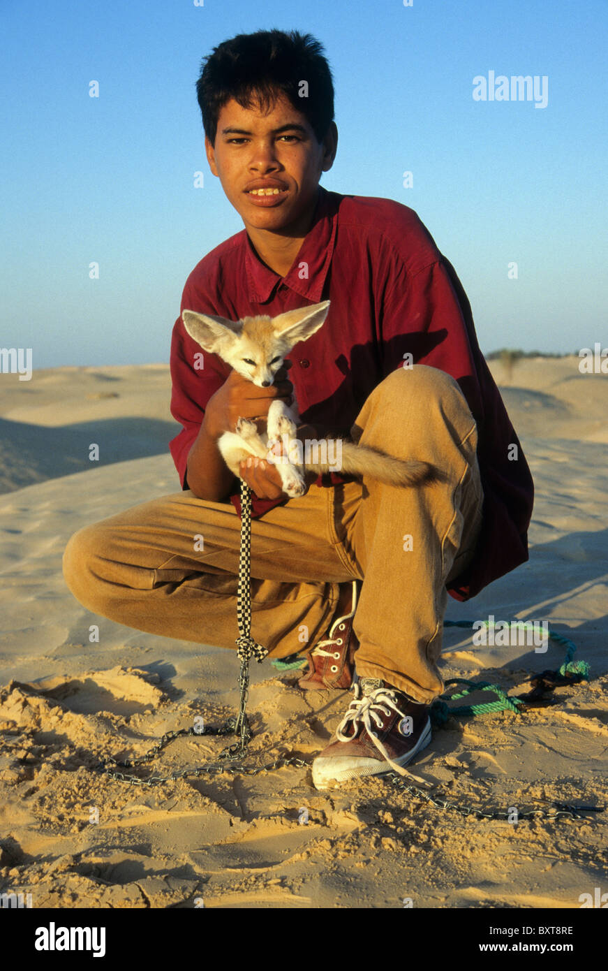 Fennec fox young hi-res stock photography and images - Alamy