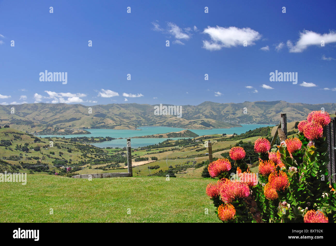 The Hilltop lookout, Akaroa Harbour, Banks Peninsula, Canterbury, New ...