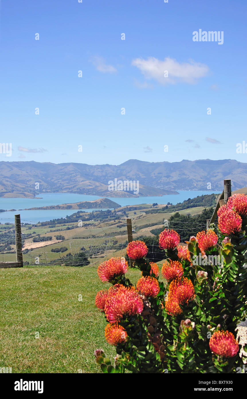Hilltop lookout harbour banks peninsula hi-res stock photography and ...