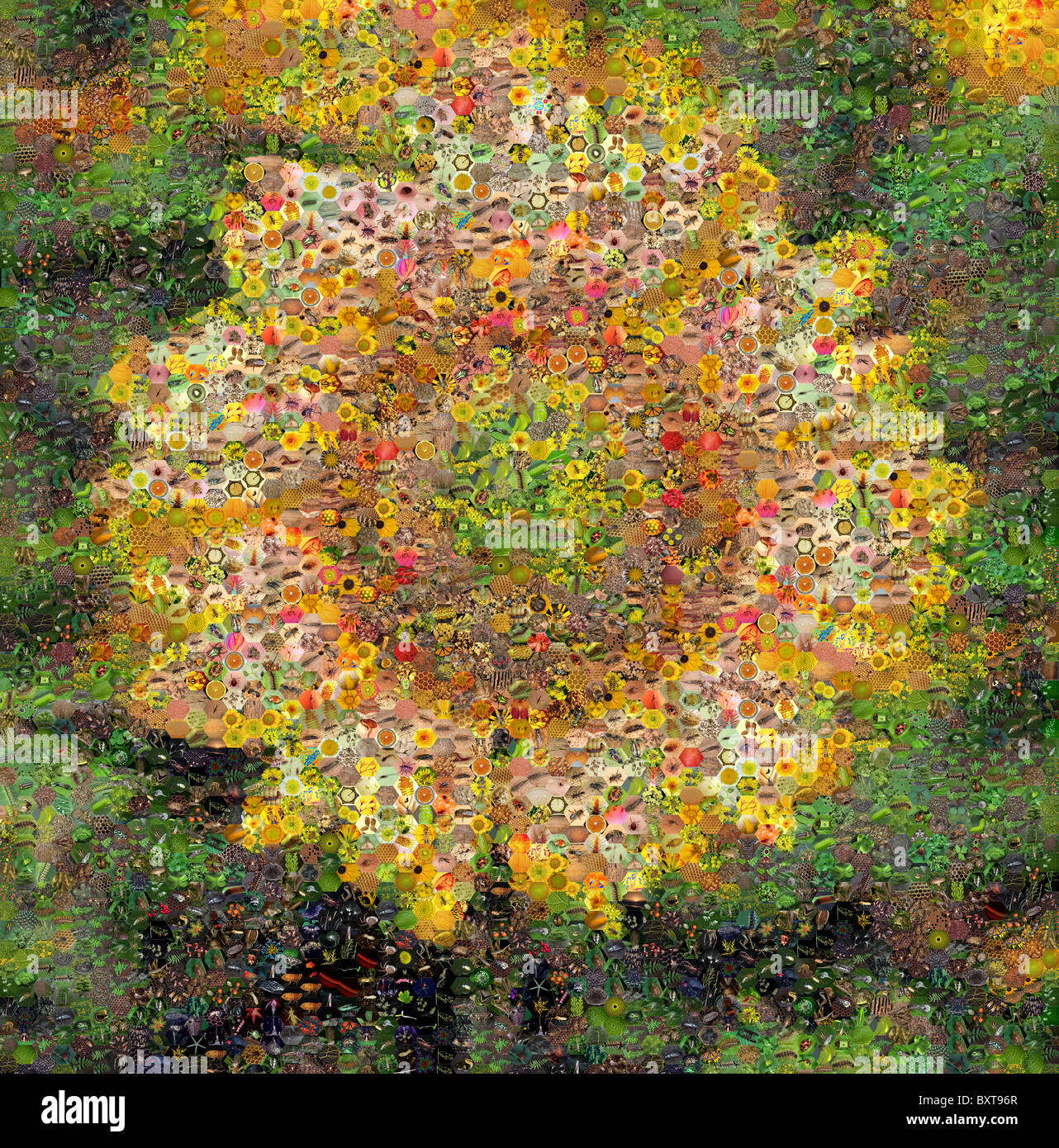 photomosaic of a sunflower Stock Photo - Alamy