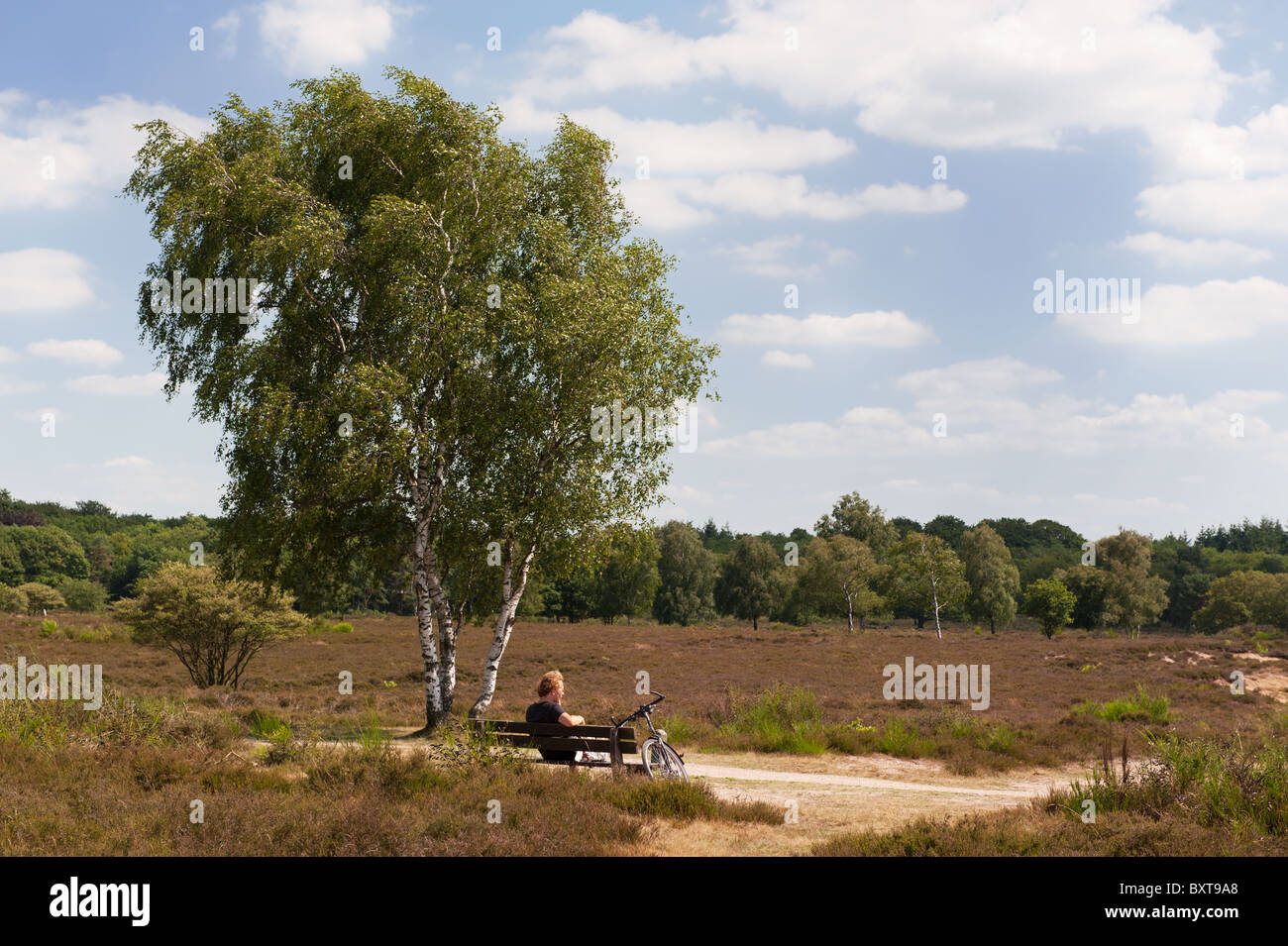 Man sitting in nature Stock Photo - Alamy