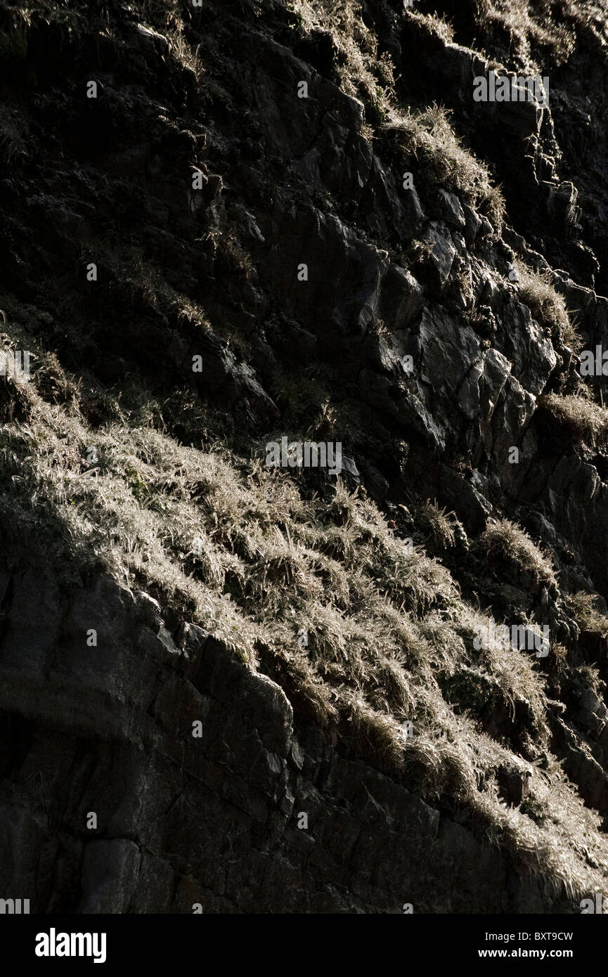 Rocks and grass covered in ice due to spray from a waterfall in winter ...