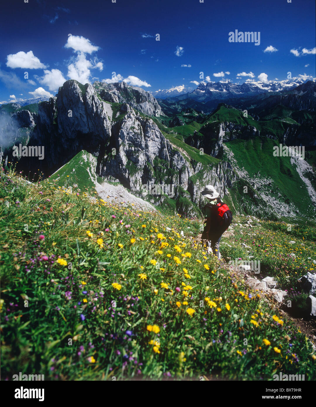 French nature series hi-res stock photography and images - Alamy