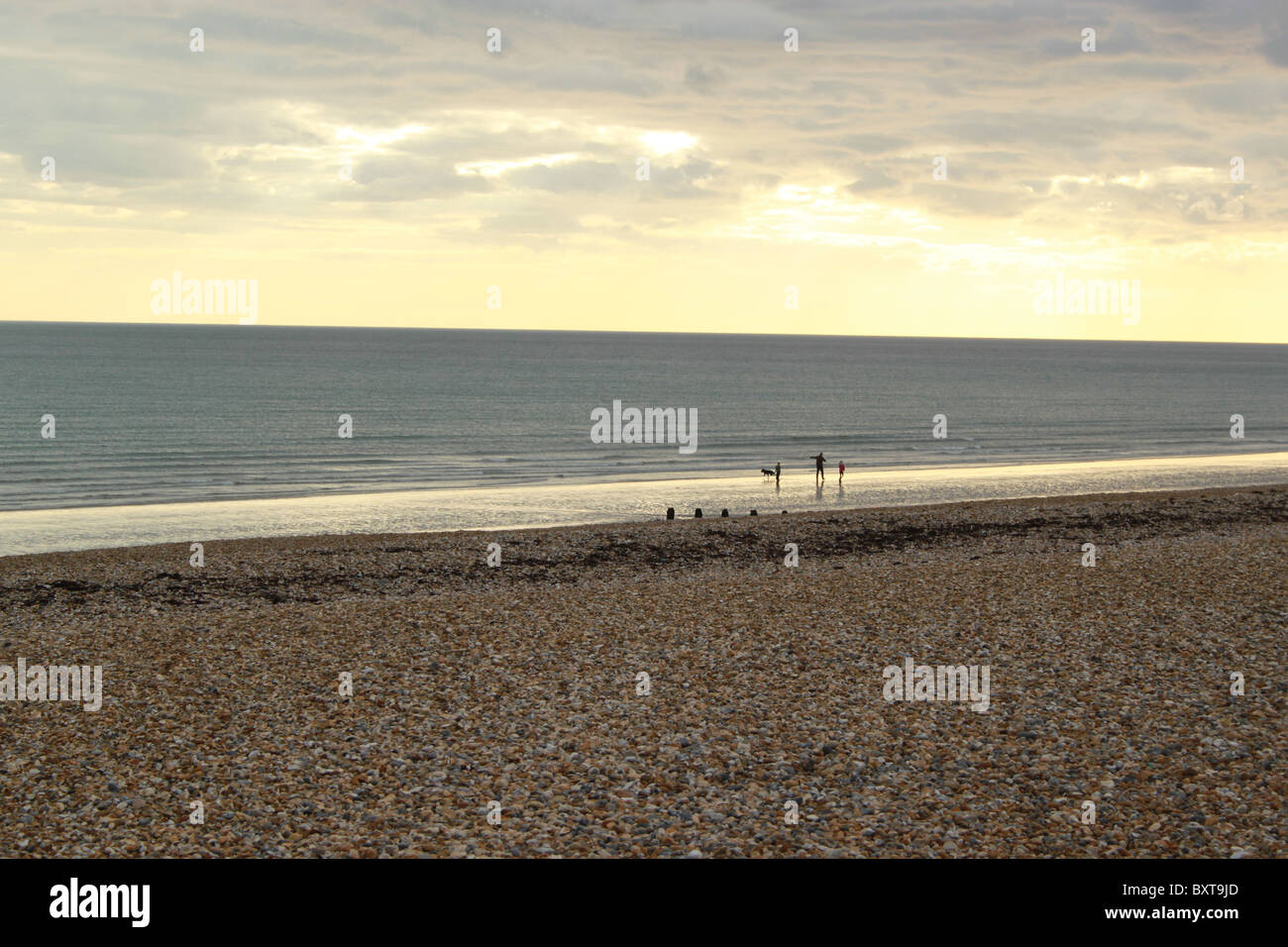 The beach at Shoreham by Sea, UK Stock Photo - Alamy