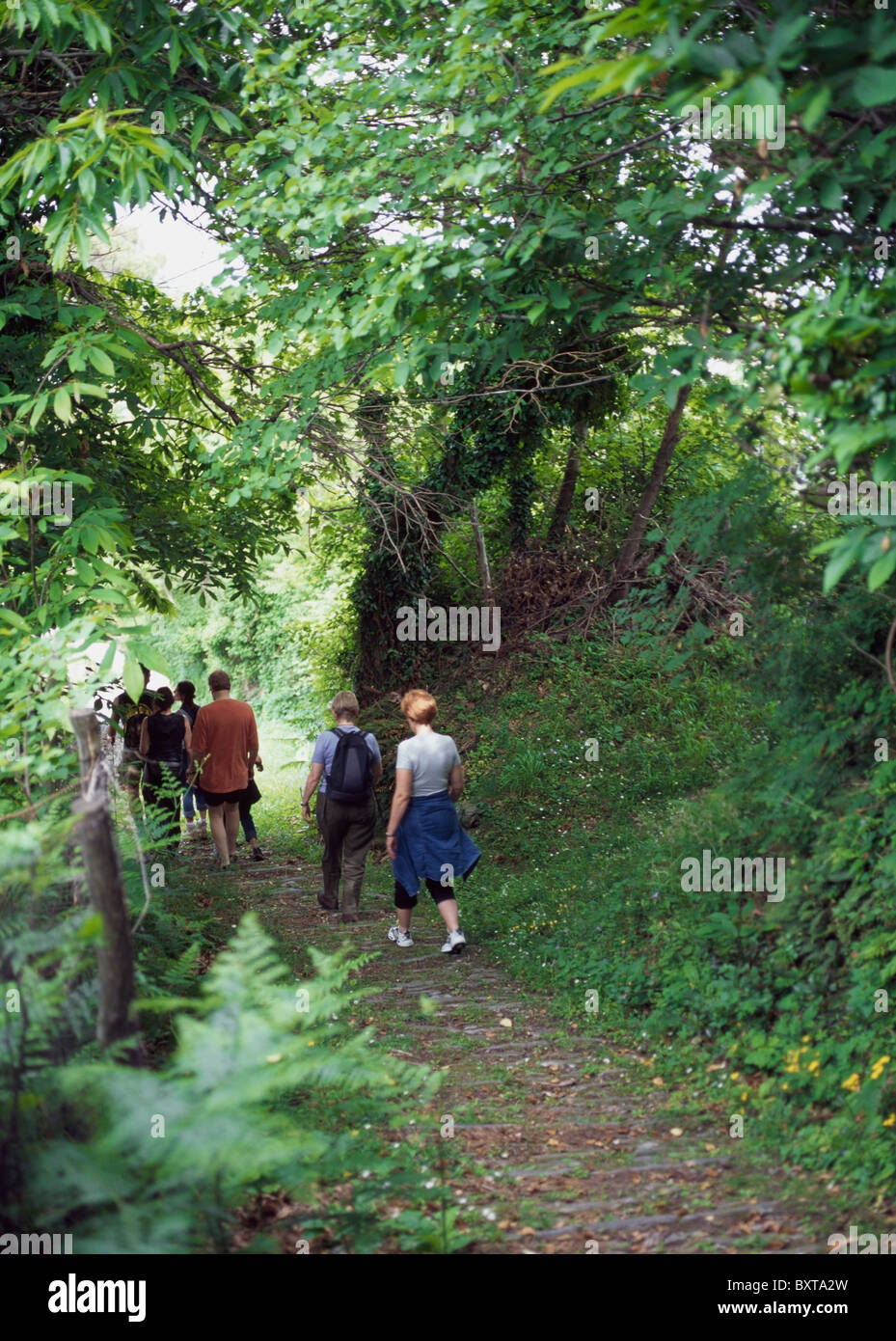 People Hiking In Countryside Stock Photo - Alamy