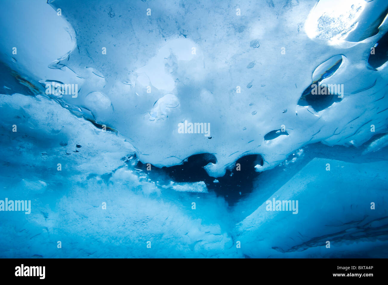 Arctic Ocean Pictures Underwater