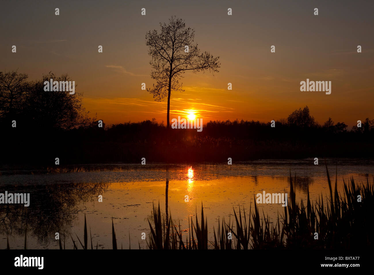 sunset over a lake Stock Photo - Alamy