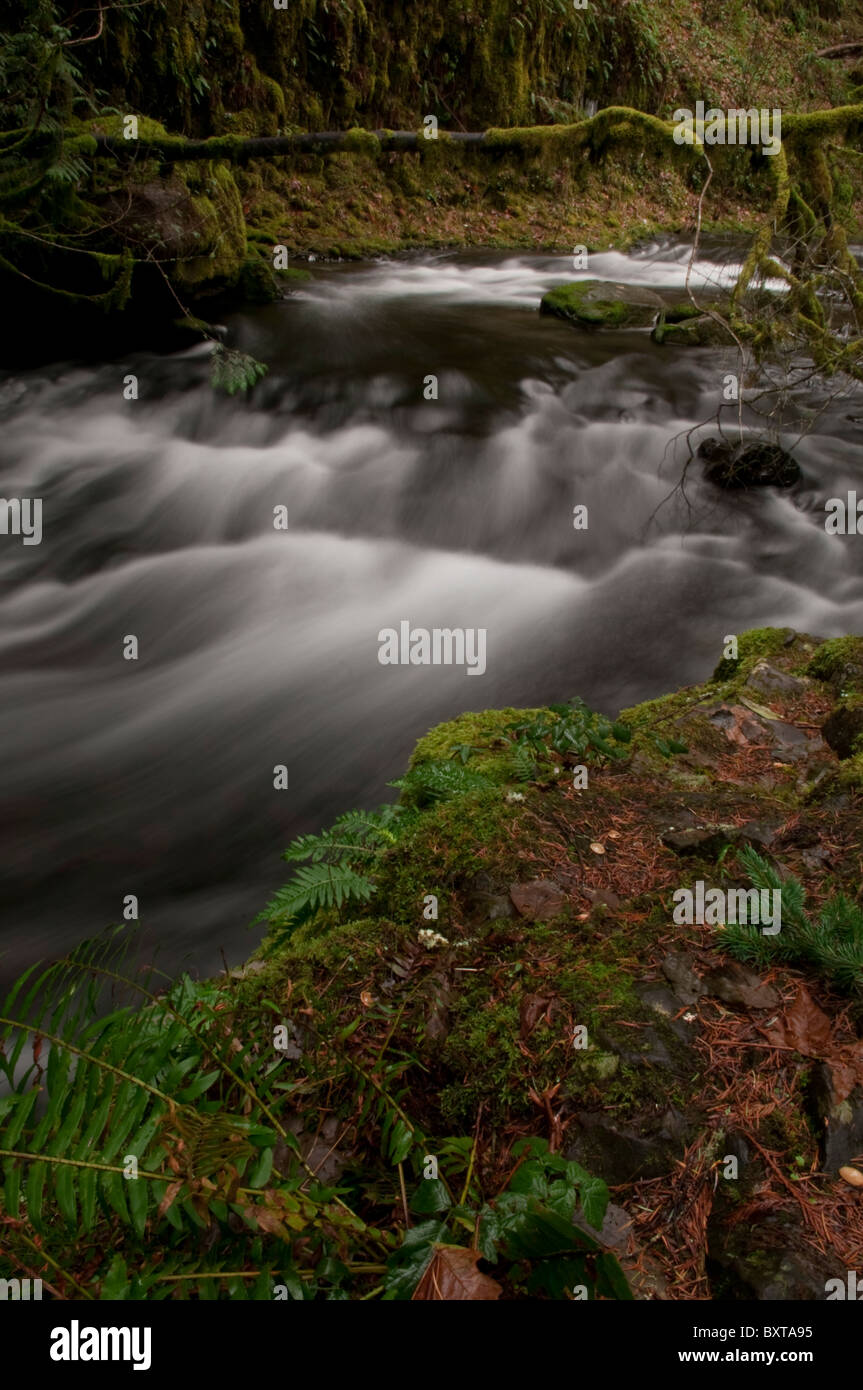 Multnomah falls recreation area hi-res stock photography and images - Alamy