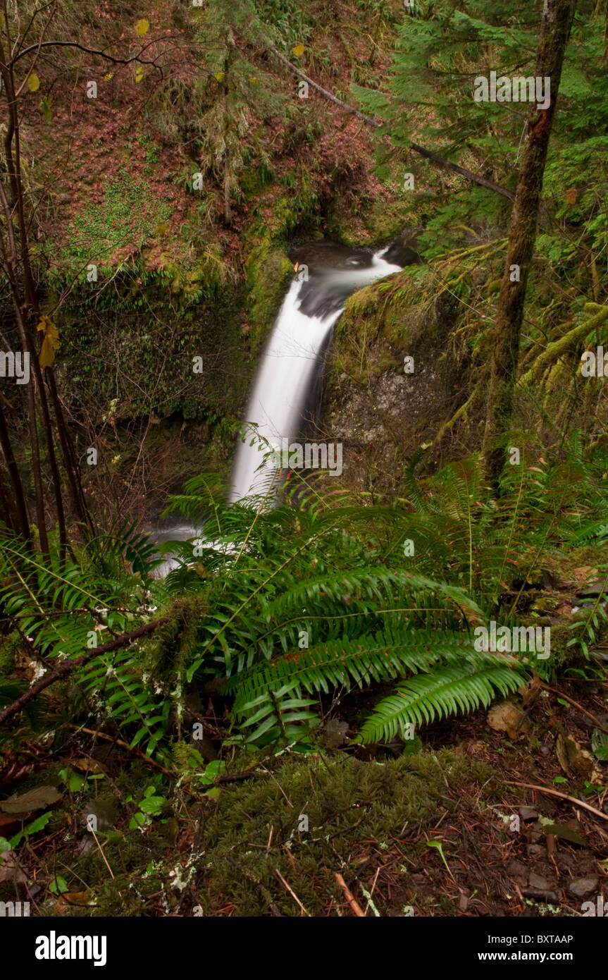 Multnomah Falls State Park Stock Photo - Alamy