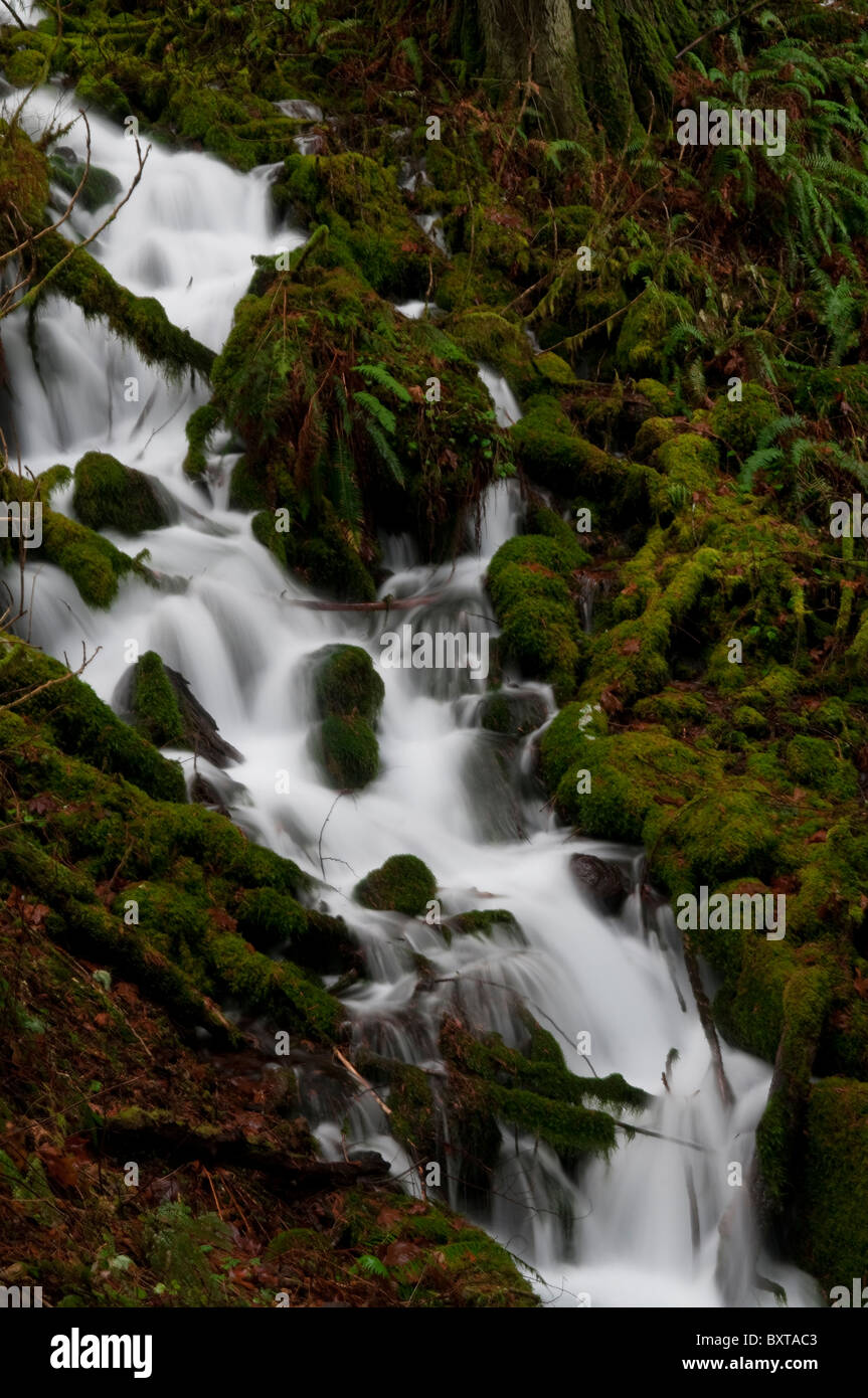 Fairy falls hi-res stock photography and images - Alamy