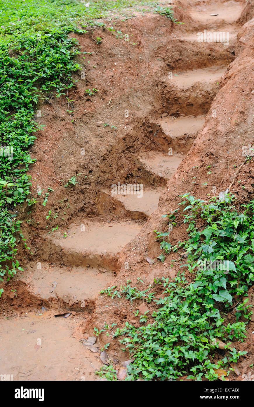 Lawn steps path hi-res stock photography and images - Alamy