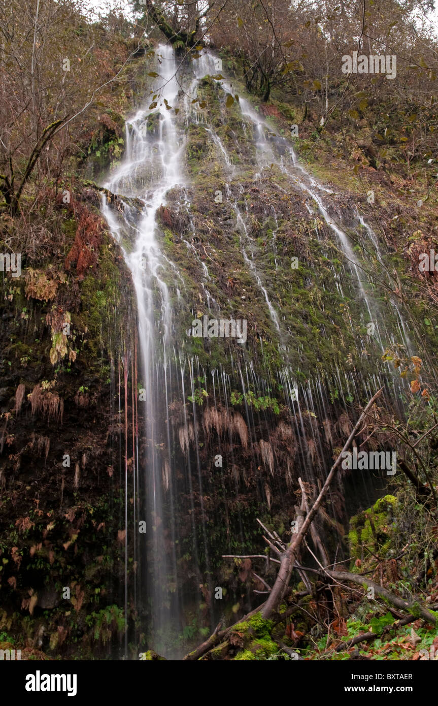 Multnomah Falls State Park Stock Photo - Alamy