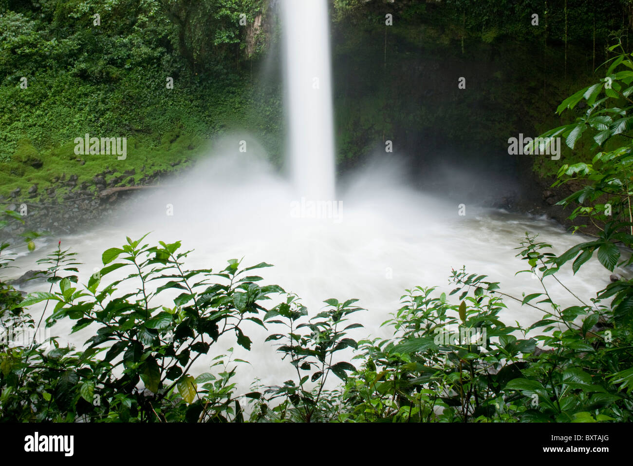 Costa Rica, La Fortuna, Waterfall in rainforest along Fortuna River ...