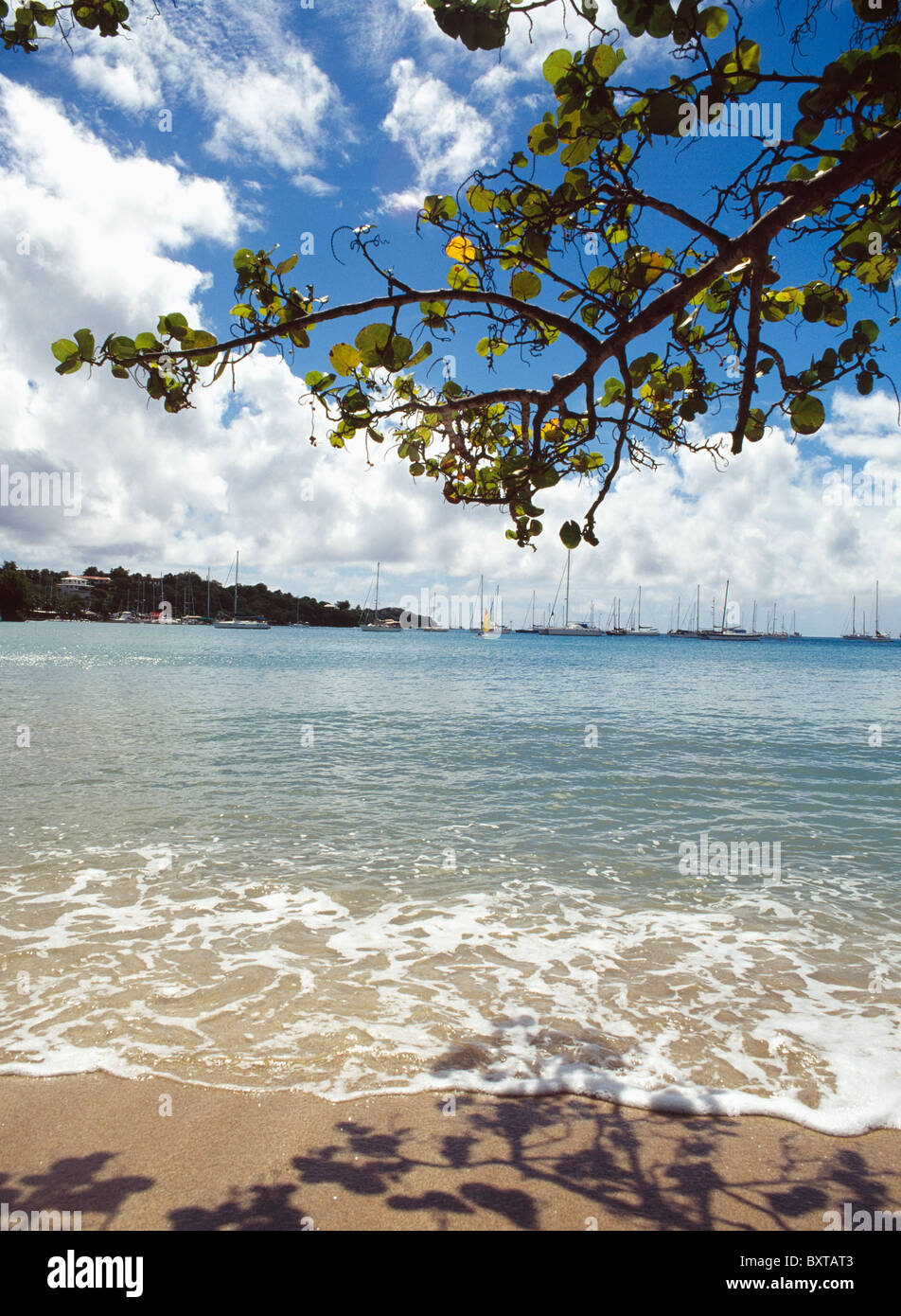 Calabash Hotel Beach Stock Photo - Alamy